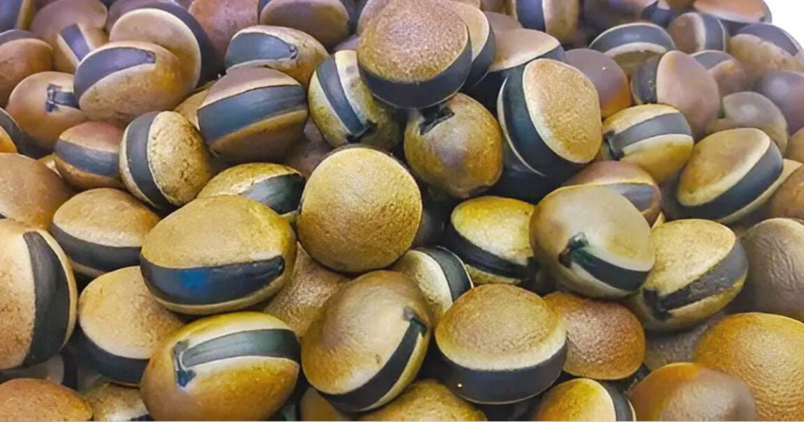 Ojo de Venado: Tradición y protección